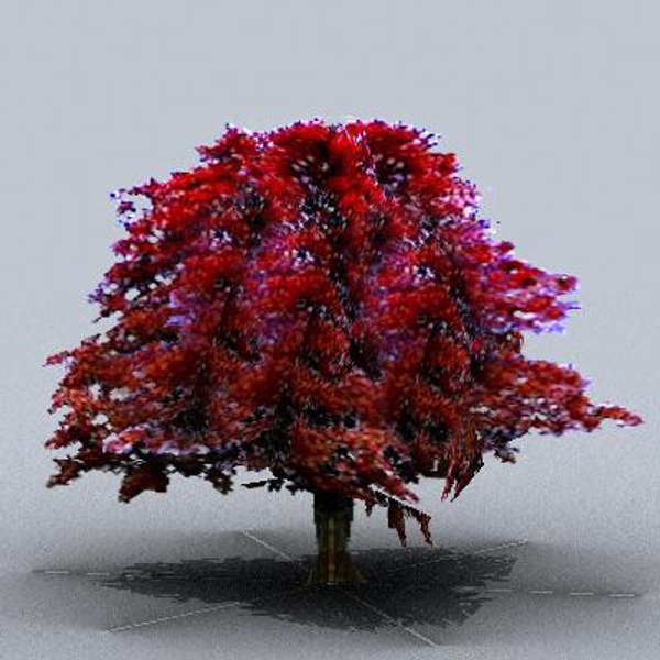 tree 3d model
