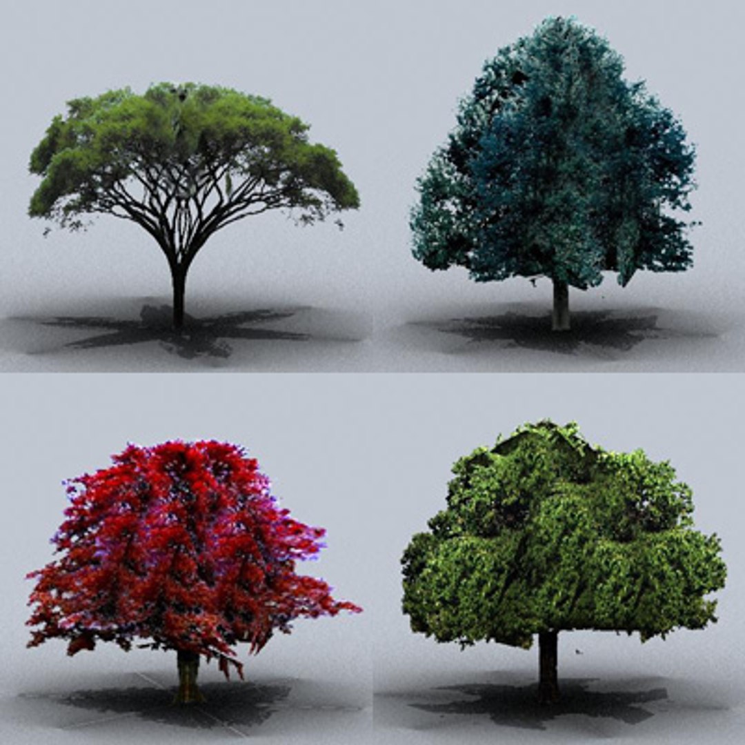 tree 3d model
