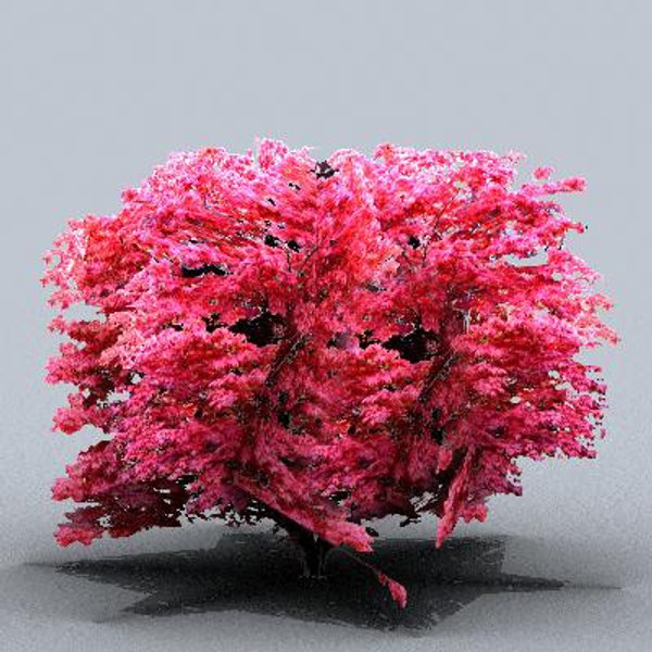 tree 3d model