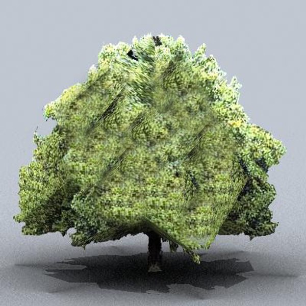 tree 3d model