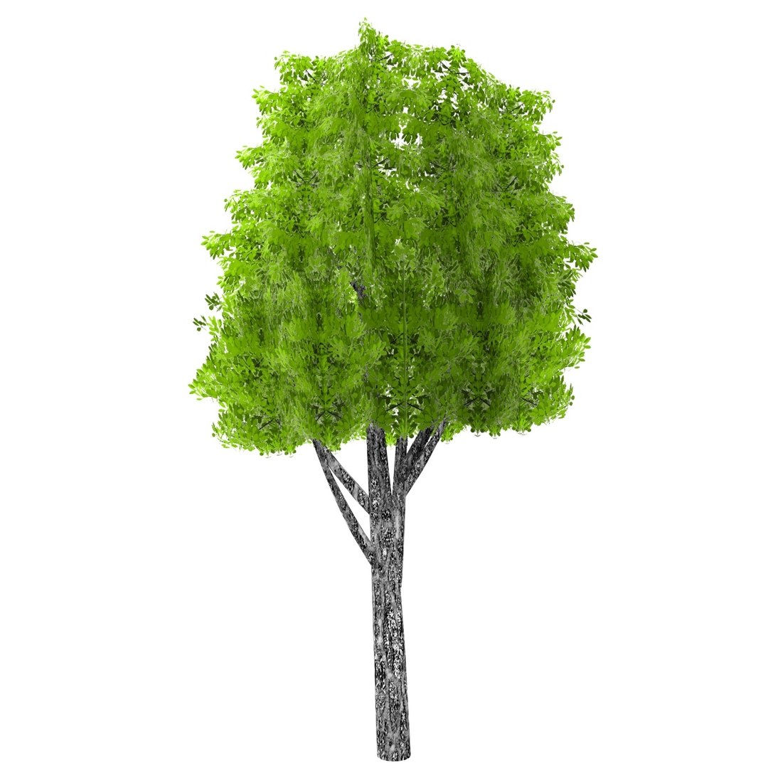 3d pc tree model