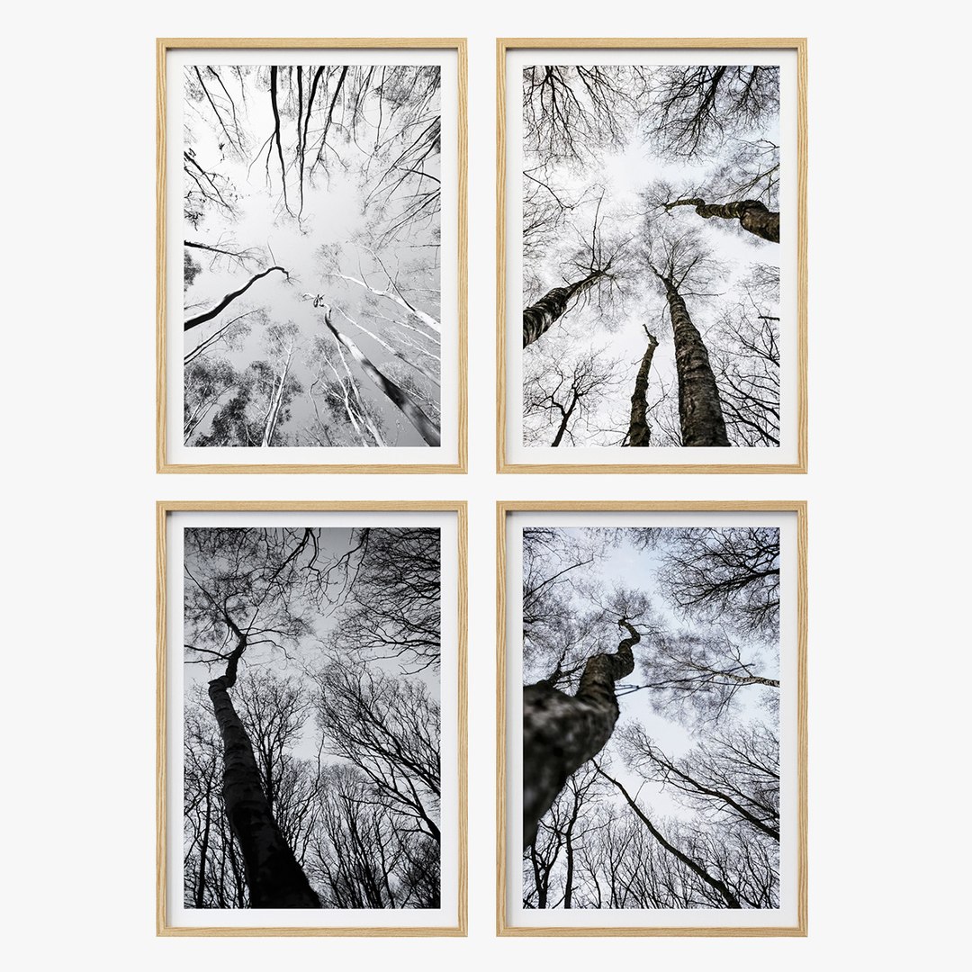 JUNIQE Forest Winter 3D Model - TurboSquid 1761275