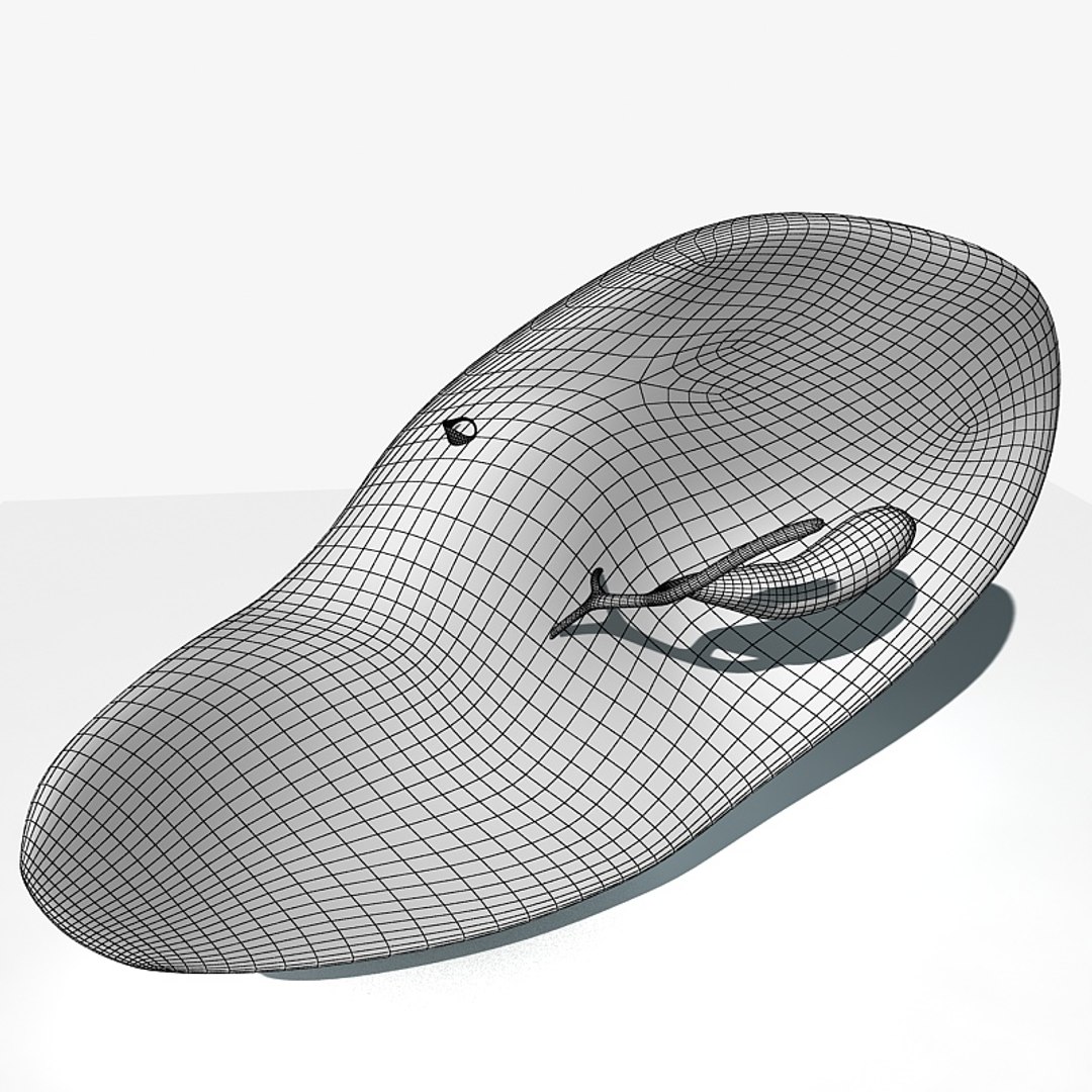 Human Liver 3d Model