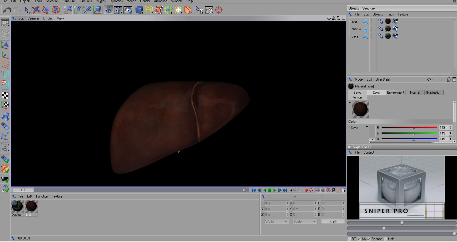 Human Liver 3d Model