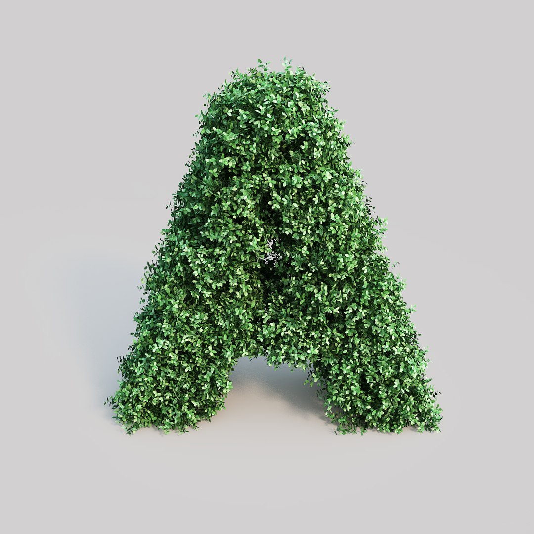 Alphabet Buxus Max