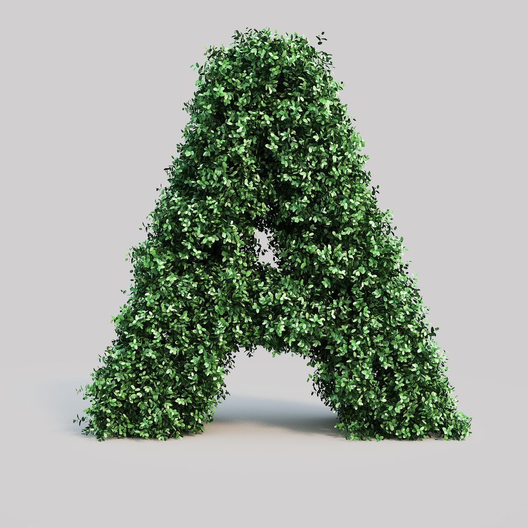 Alphabet Buxus Max