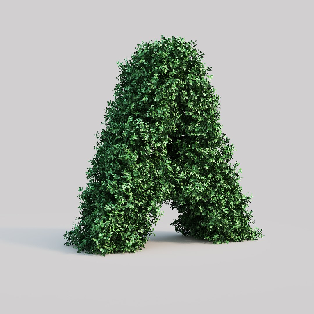 Alphabet Buxus Max