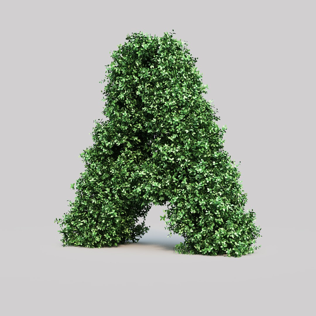 Alphabet Buxus Max