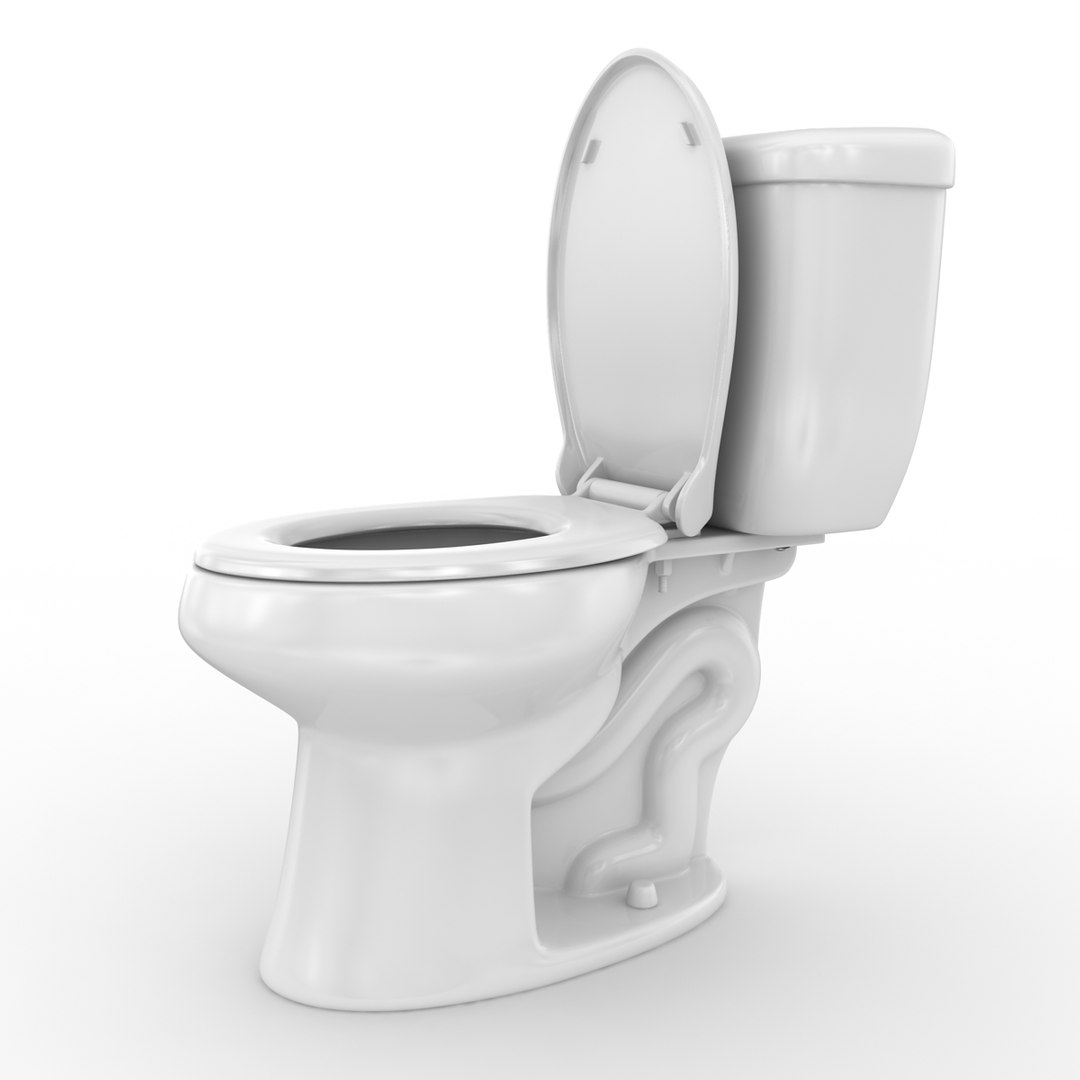 Toilet 3d Max