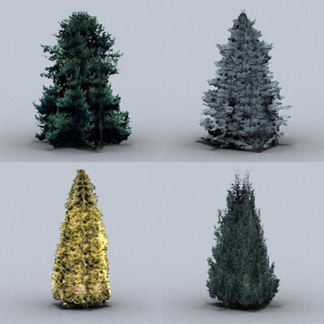 3d Conifer Trees