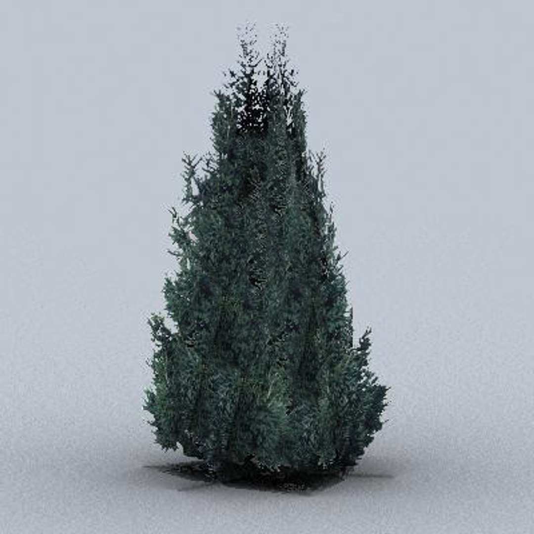 3d Conifer Trees