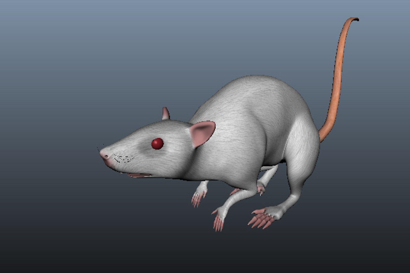 Mouse Rigg Image Model - TurboSquid 1326410