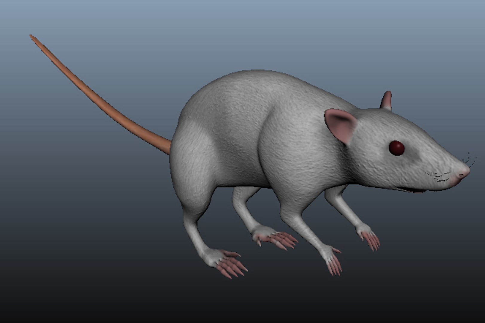 Mouse Rigg Image Model - TurboSquid 1326410