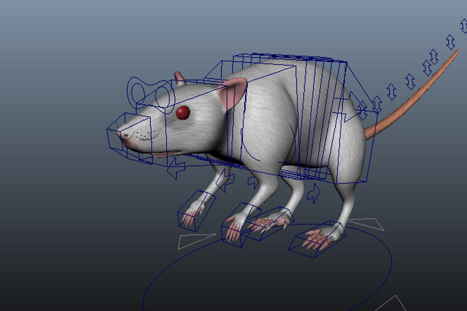 Mouse Rigg Image Model - TurboSquid 1326410