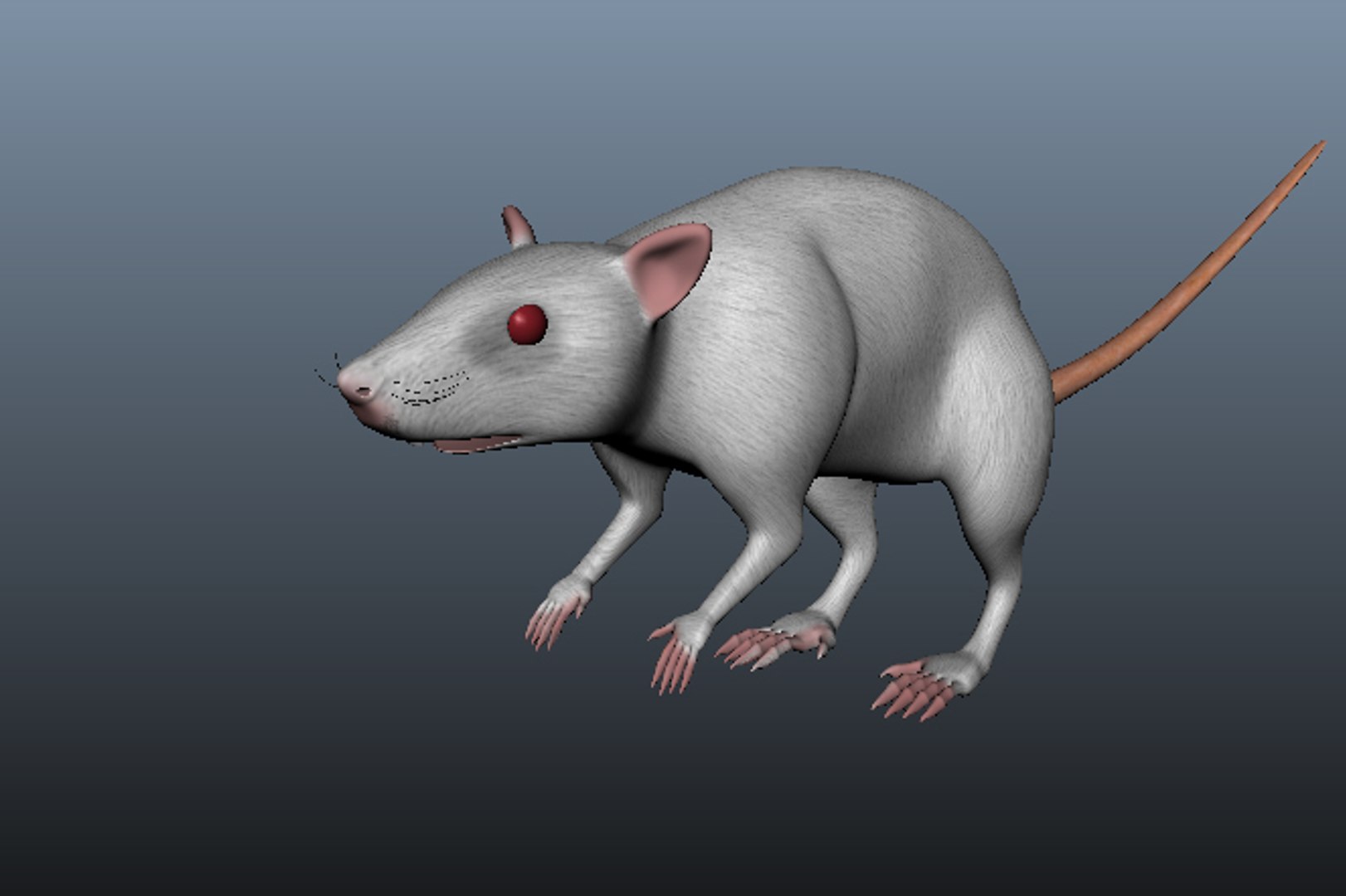 Mouse Rigg Image Model - TurboSquid 1326410