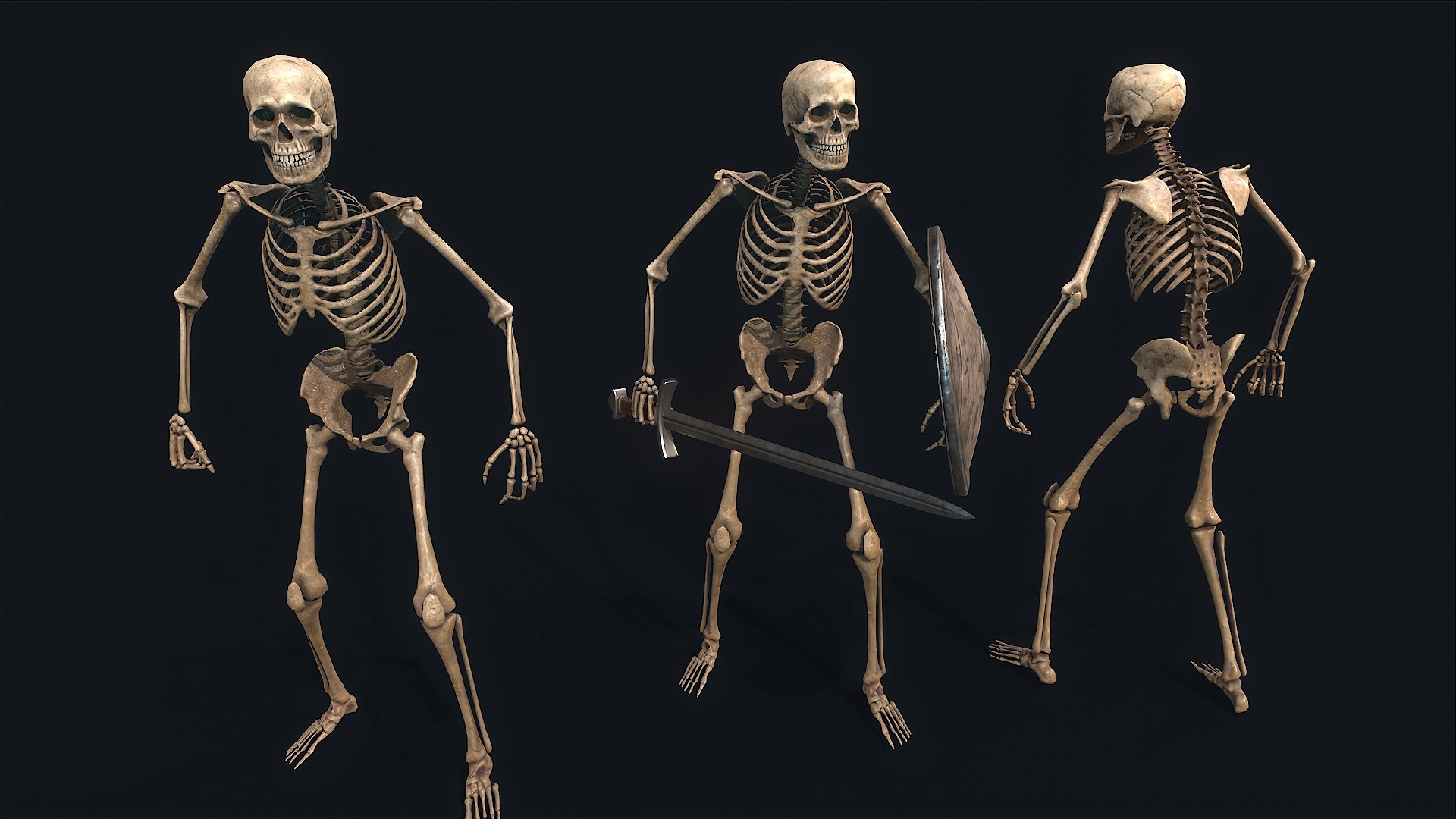 Medieval Skeleton Knight 3D Model - TurboSquid 2229003