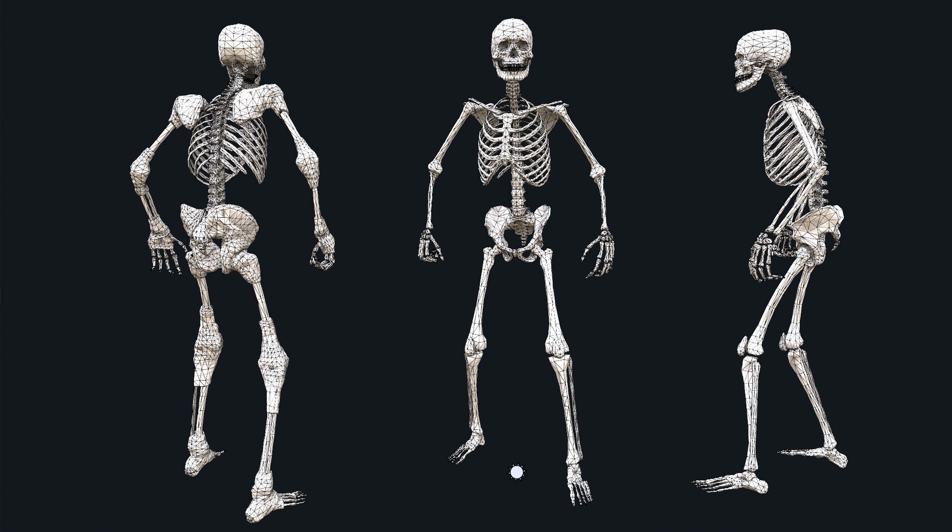 Medieval Skeleton Knight 3D Model - TurboSquid 2229003