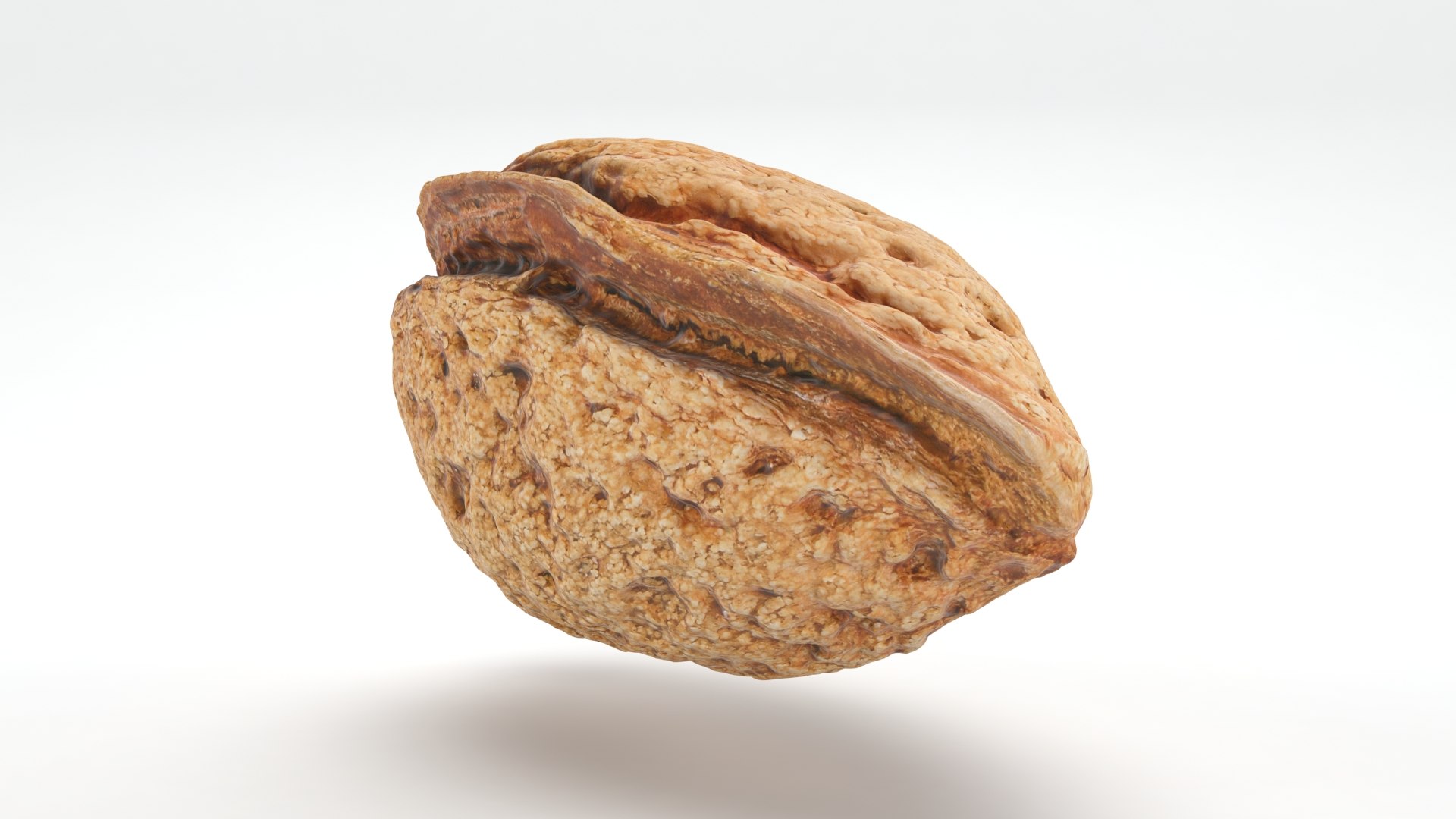 3D Almond Shell 01 - TurboSquid 1999133