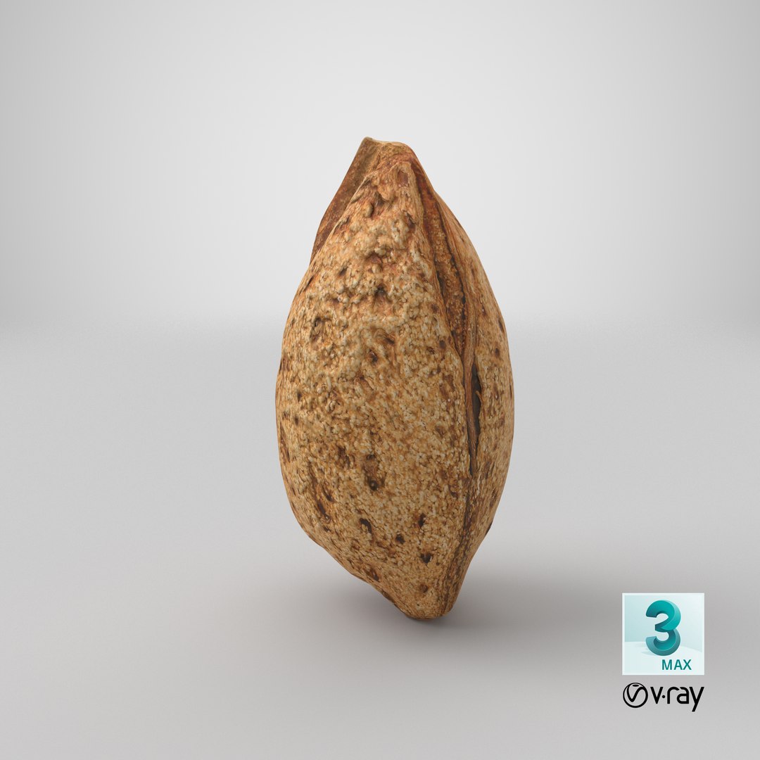 3D Almond Shell 01 - TurboSquid 1999133