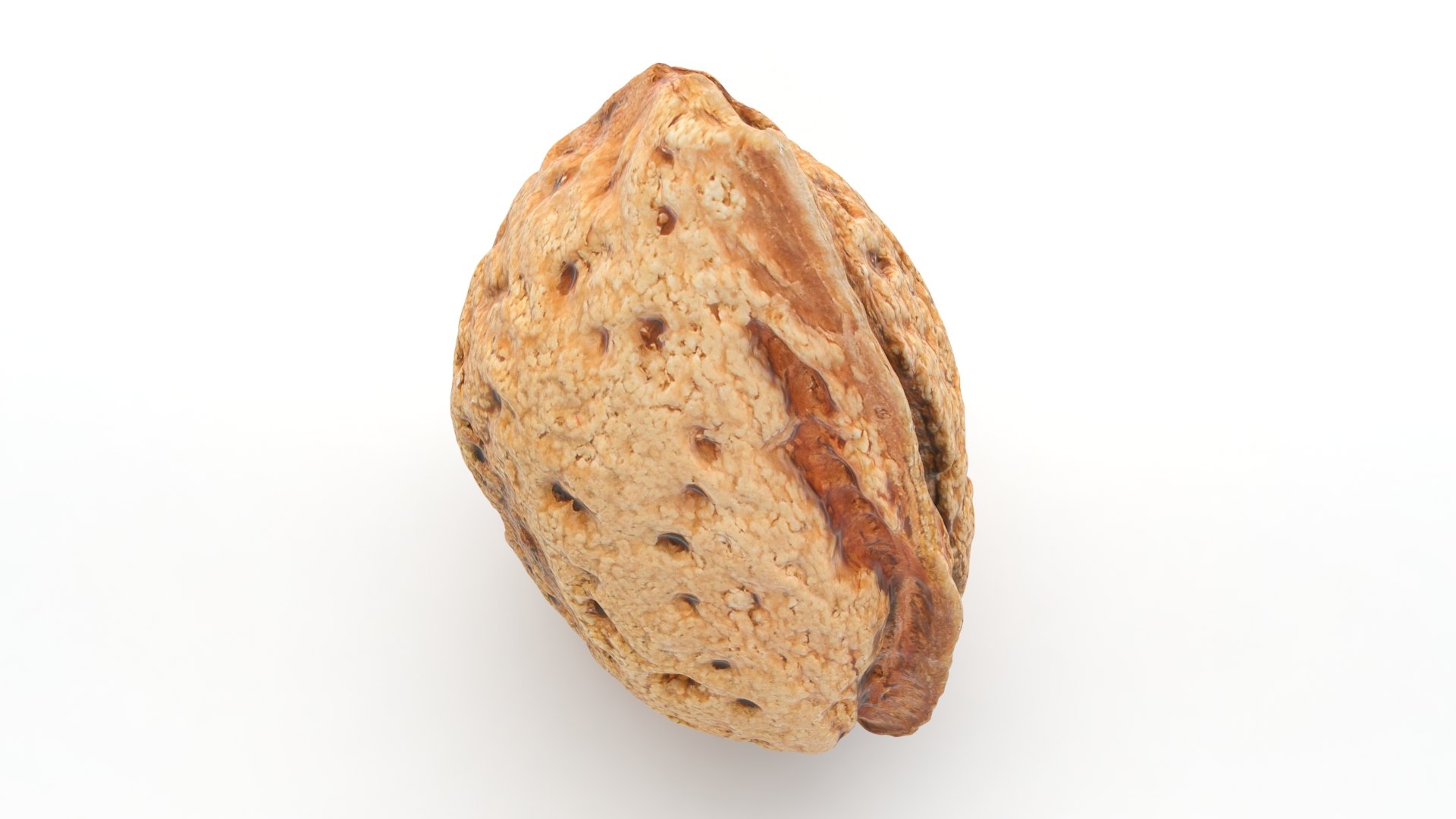 3D Almond Shell 01 - TurboSquid 1999133