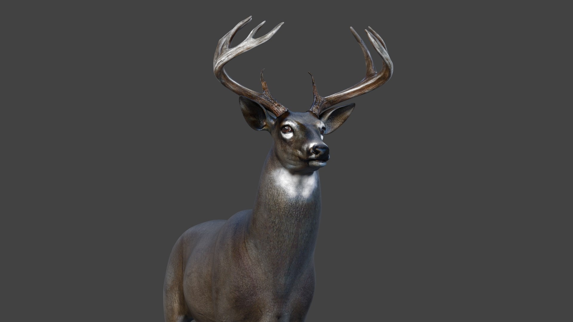 3D Male Deer - TurboSquid 1829518