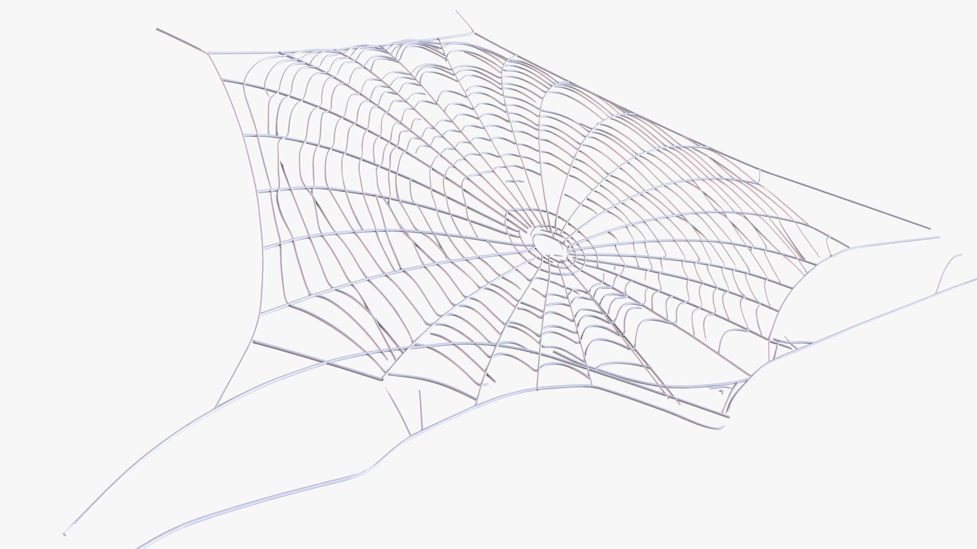 3D Model Spider Web - TurboSquid 1953052