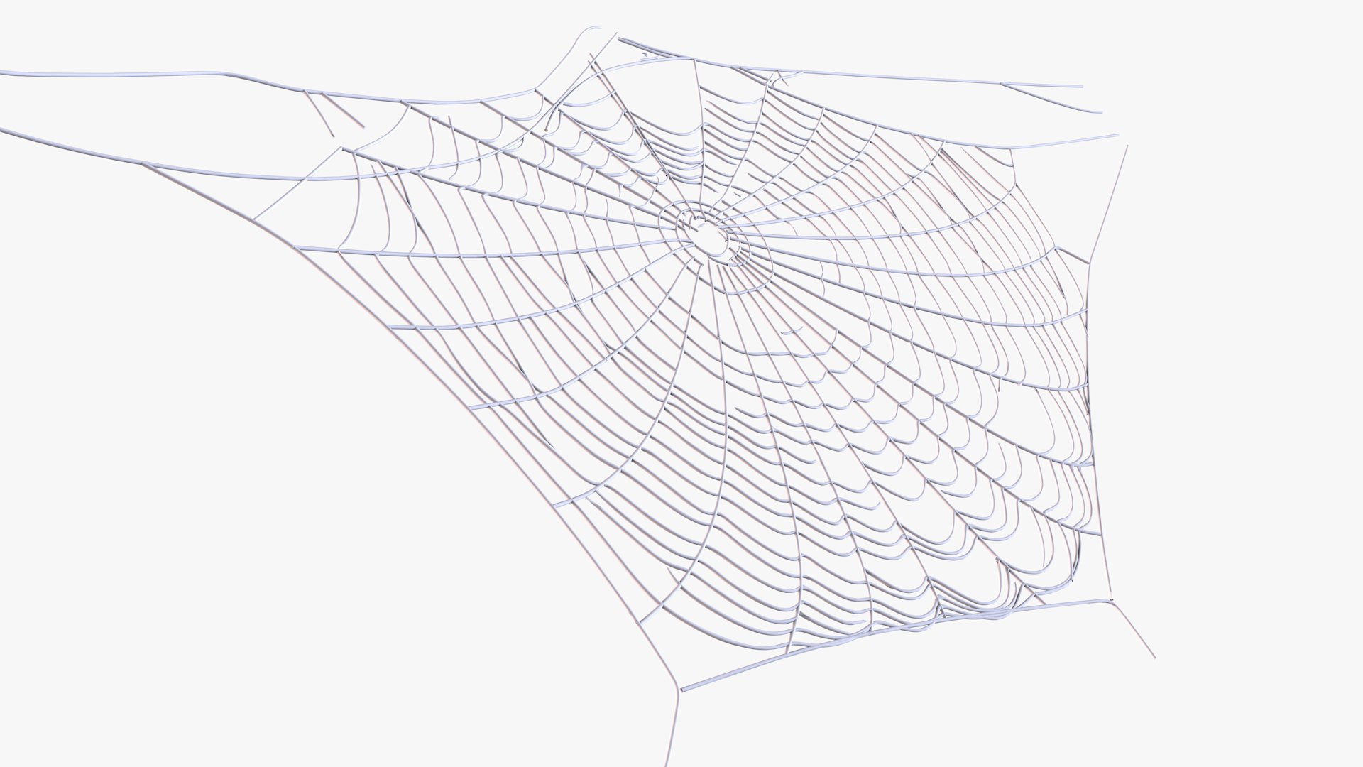 3D Model Spider Web - TurboSquid 1953052