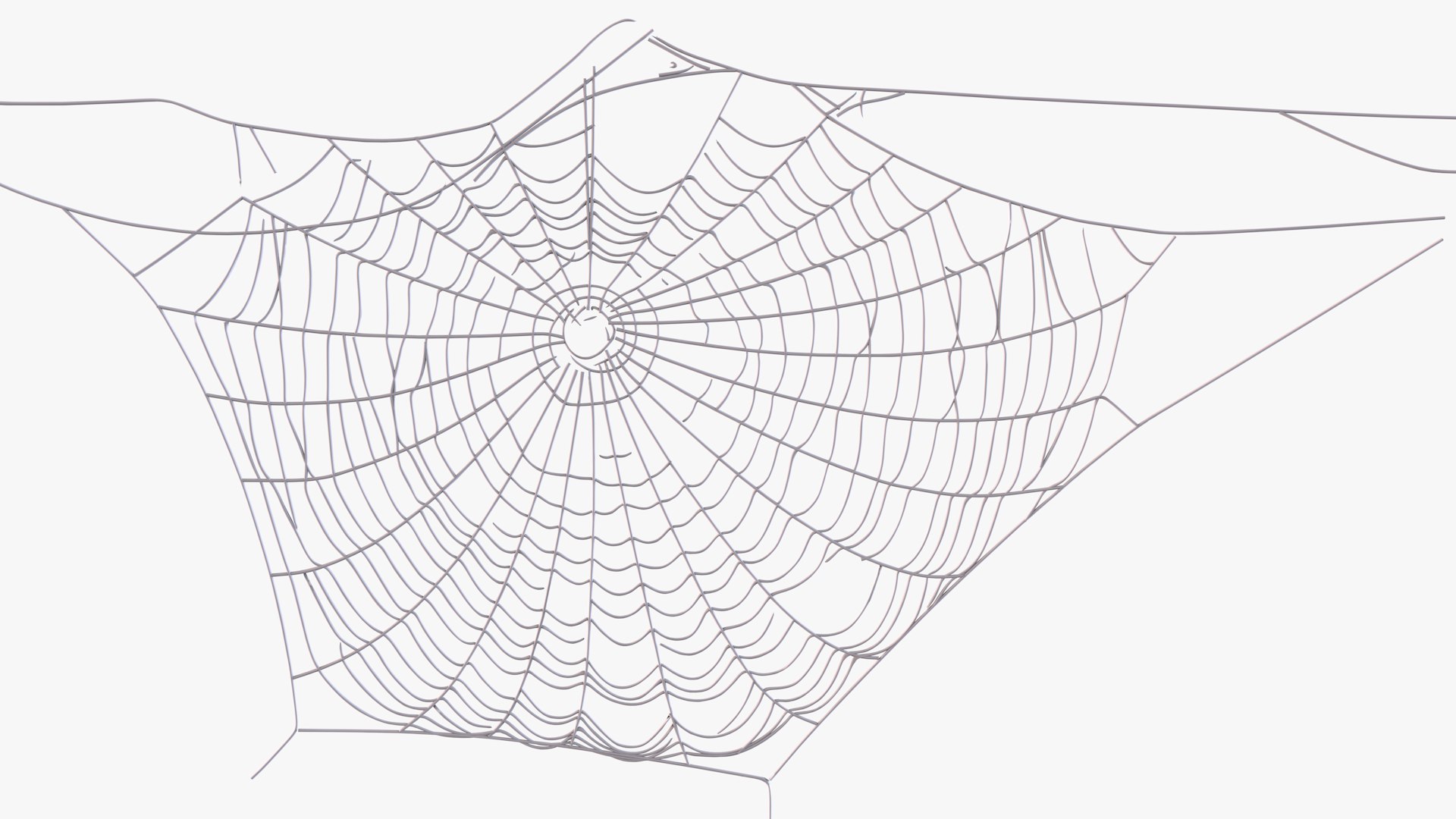 3D Model Spider Web - TurboSquid 1953052