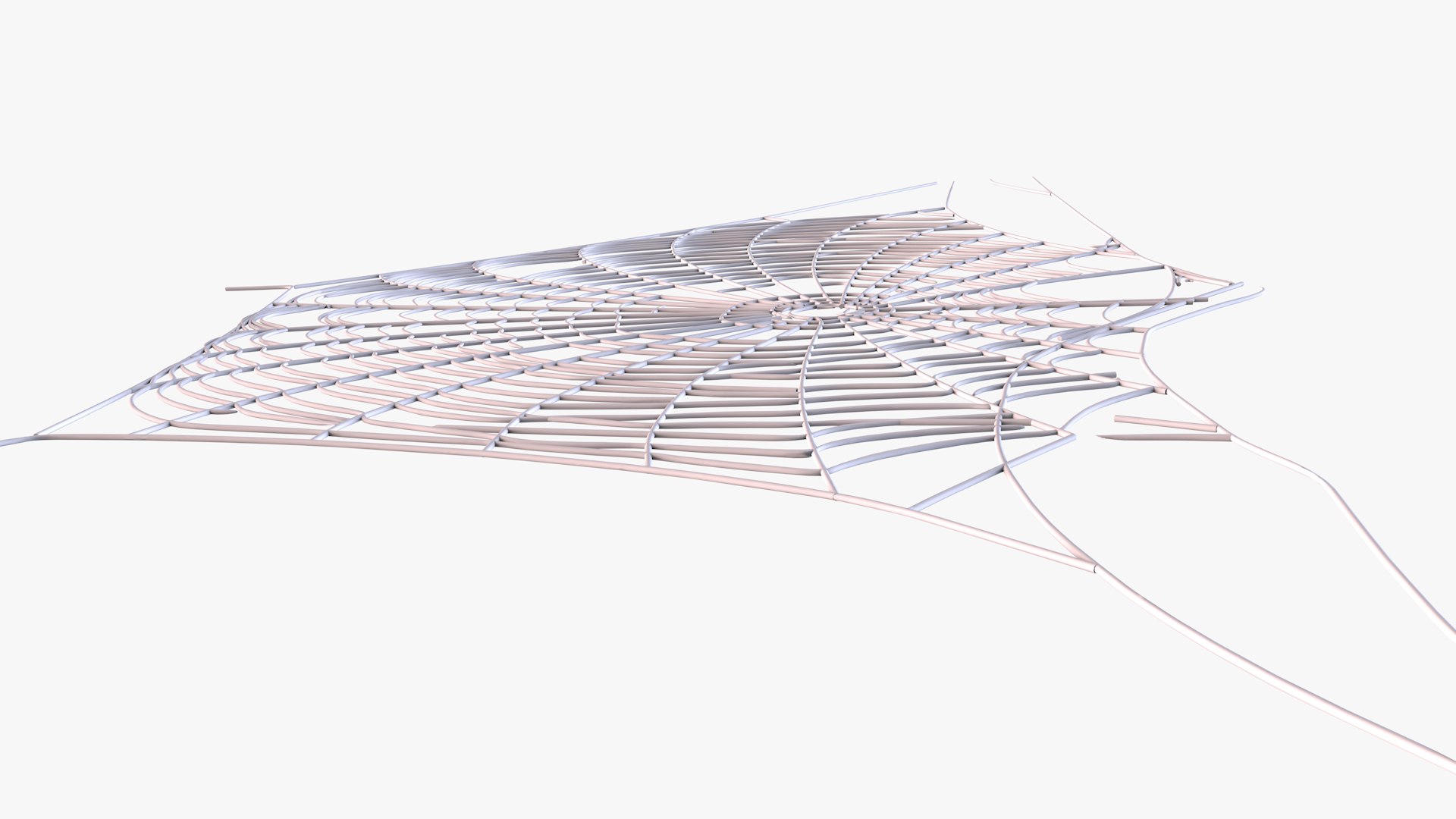 3D Model Spider Web - TurboSquid 1953052