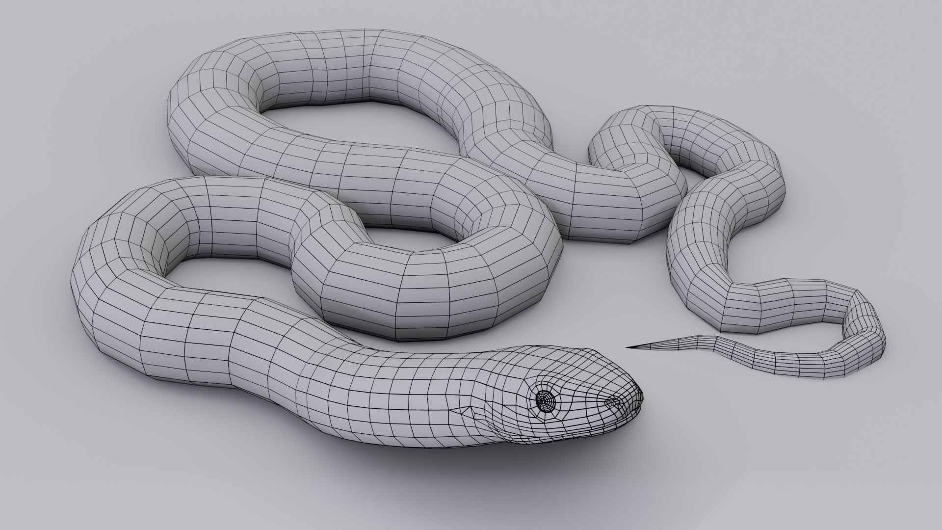 3D scarlet king snake model - TurboSquid 1264918