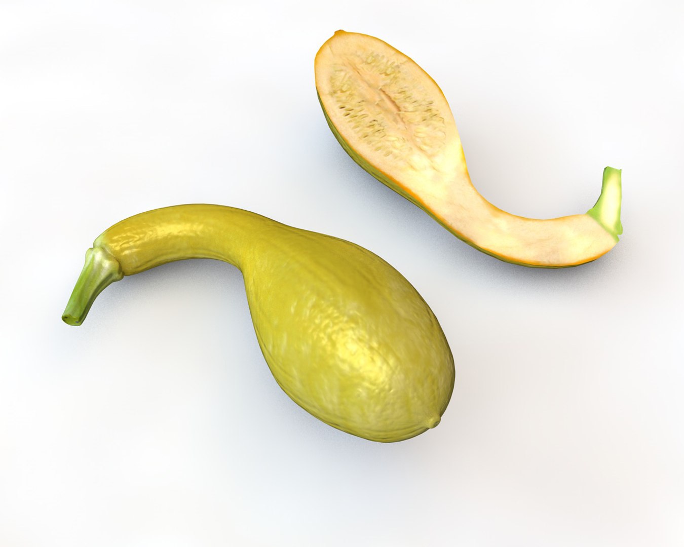 3D Model Squash - TurboSquid 1544487