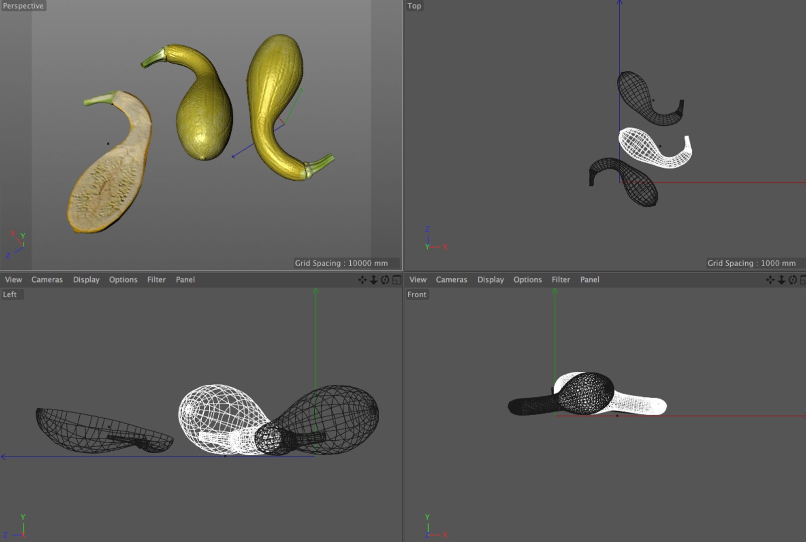 3D Model Squash - TurboSquid 1544487