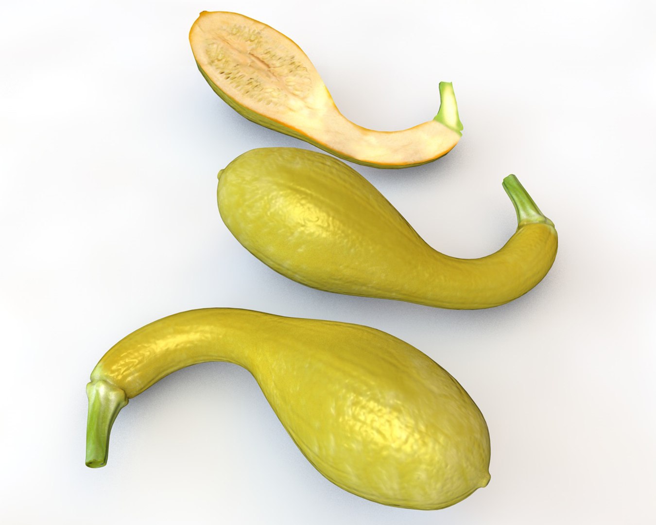 3D Model Squash - TurboSquid 1544487