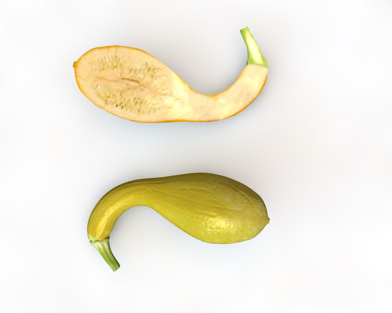 3D Model Squash - TurboSquid 1544487