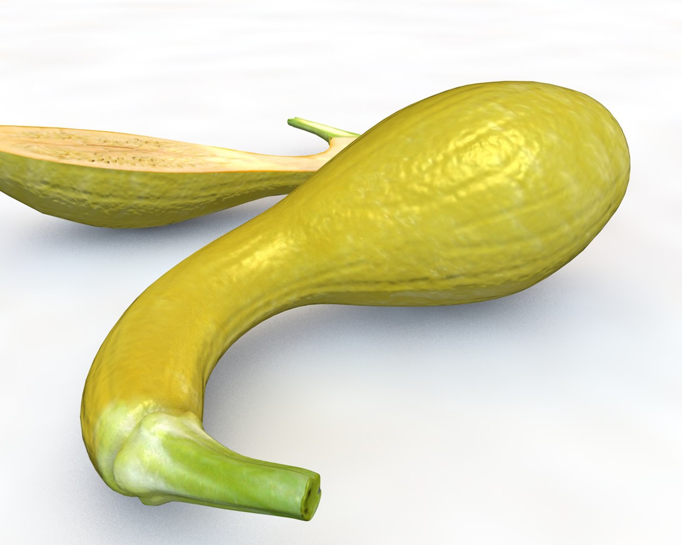 3D Model Squash - TurboSquid 1544487