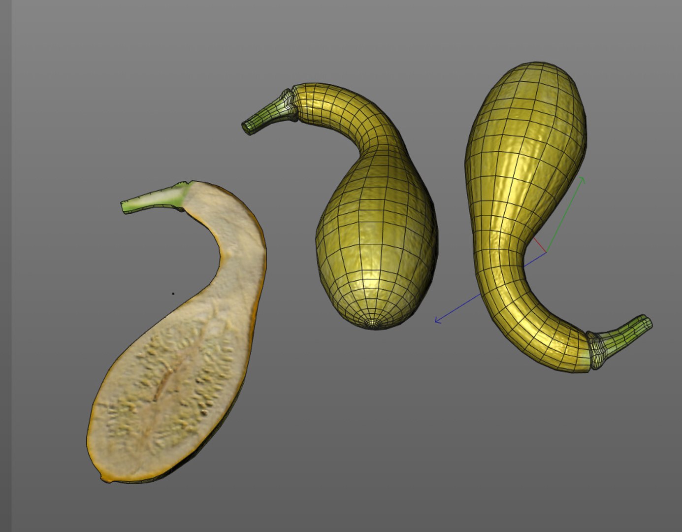3D Model Squash - TurboSquid 1544487