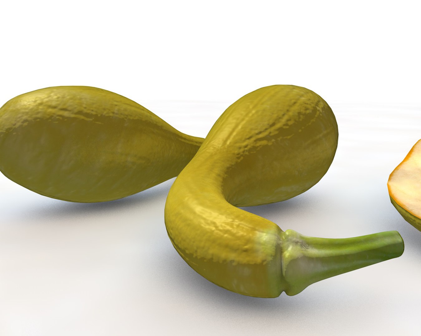 3D Model Squash - TurboSquid 1544487
