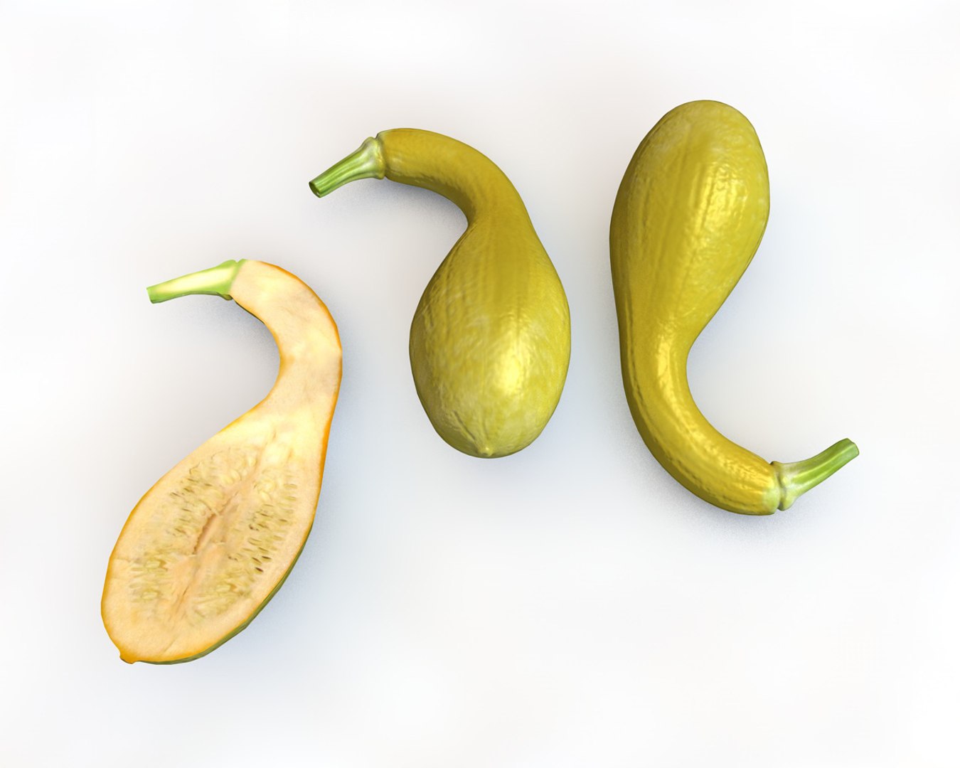 3D Model Squash - TurboSquid 1544487