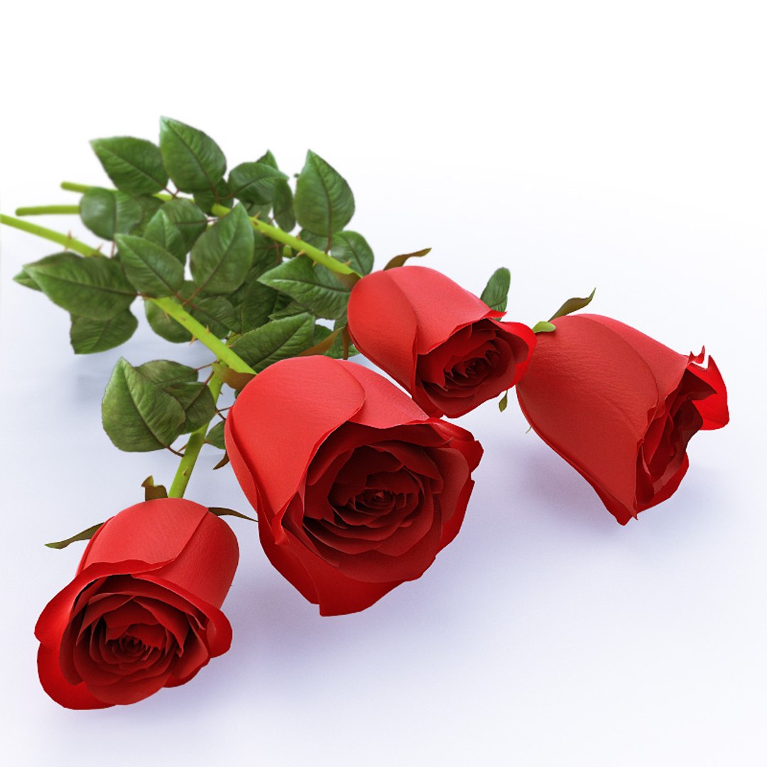 Realistic Roses 3d Model