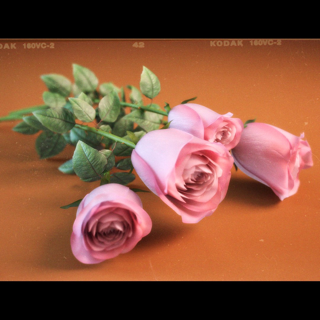 Realistic Roses 3d Model