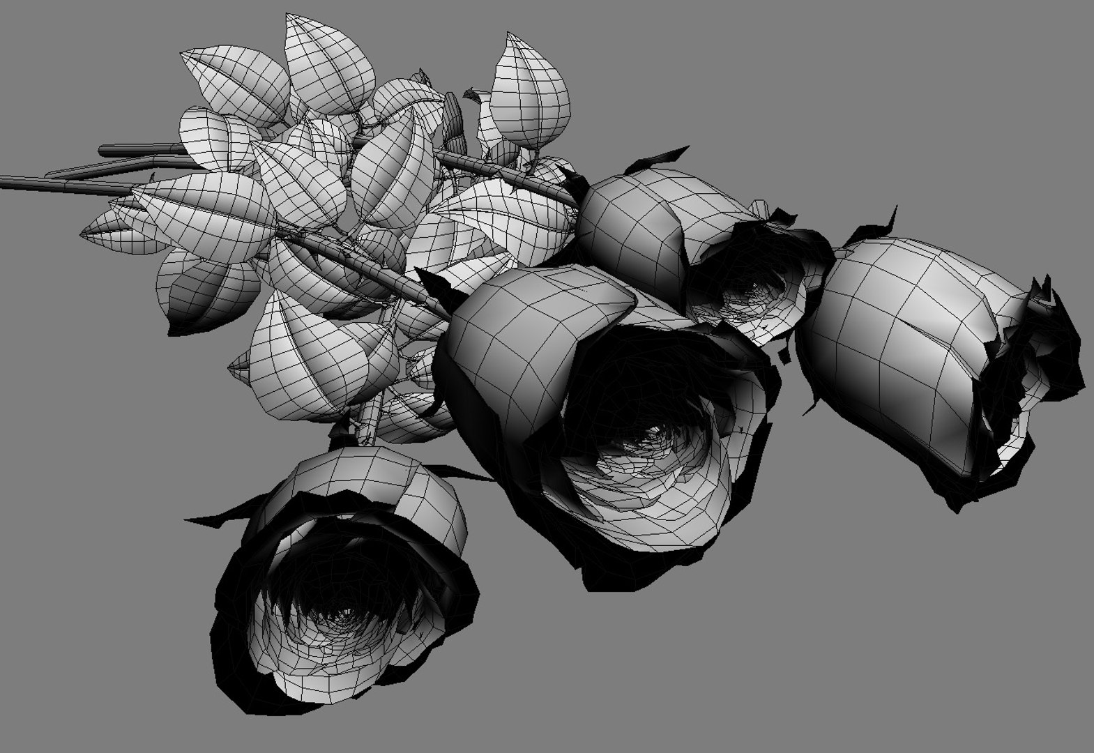 Realistic Roses 3d Model