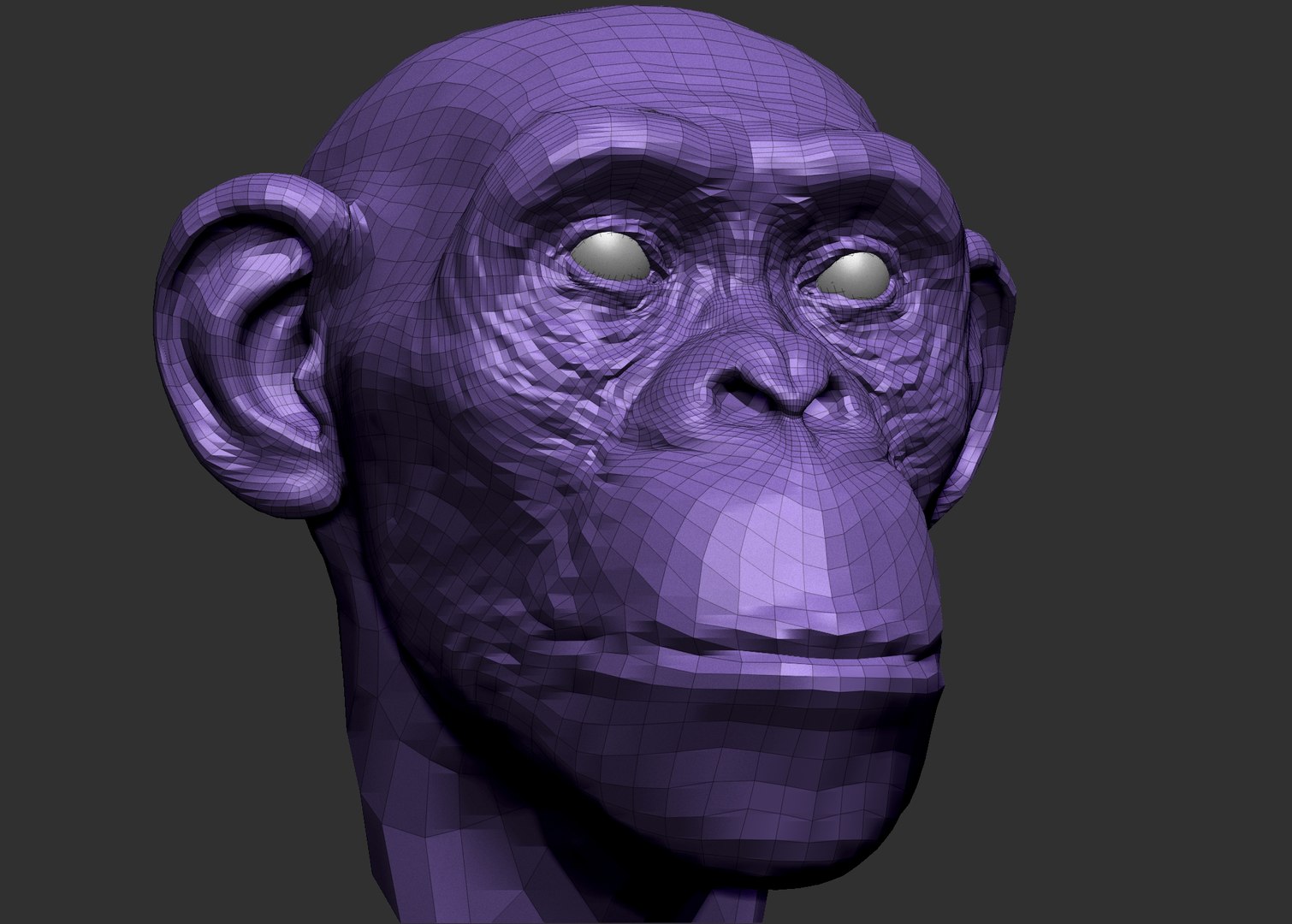 Chimpanzee Head 3D Model - TurboSquid 1396321