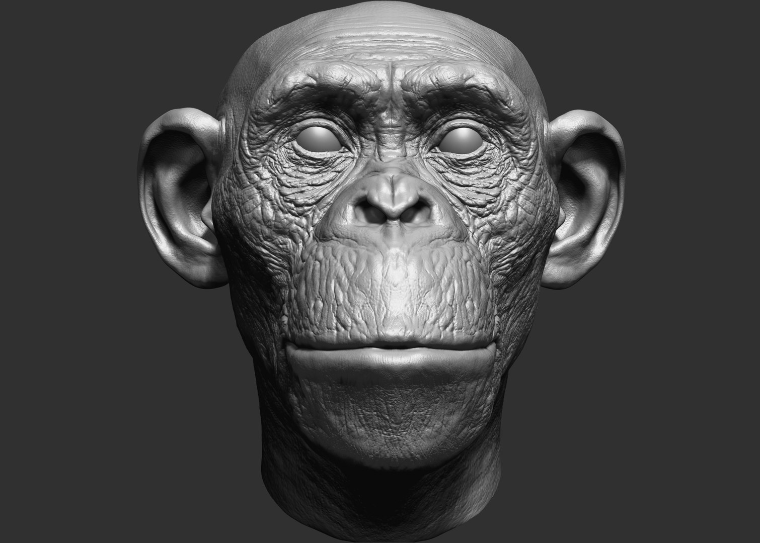 Chimpanzee Head 3D Model - TurboSquid 1396321