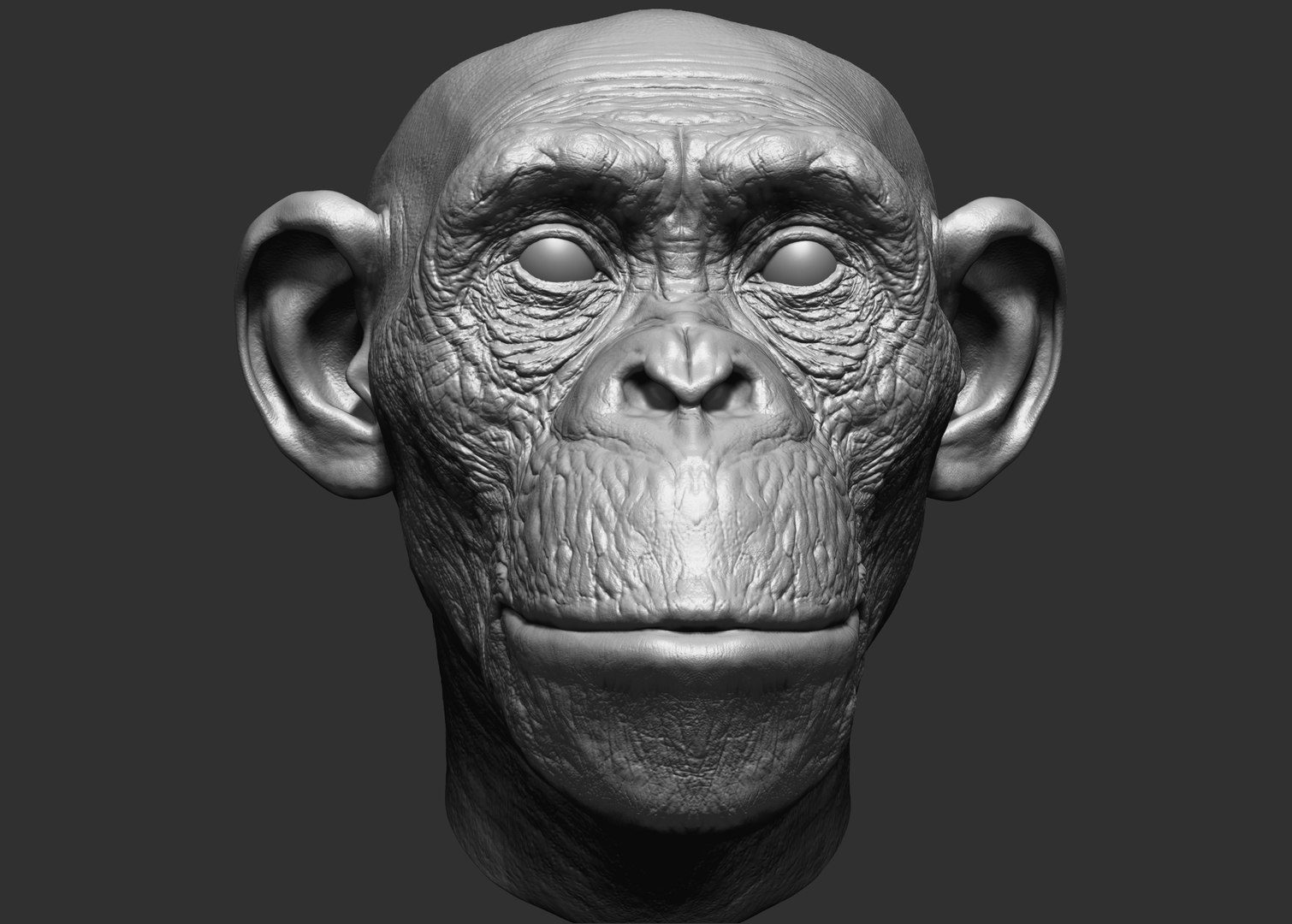 Chimpanzee Head 3D Model - TurboSquid 1396321