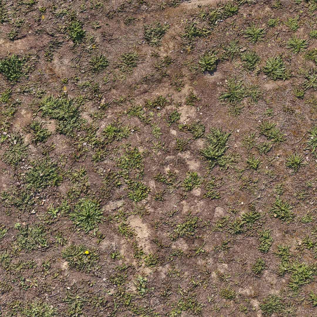 3D Model Spring Soil - TurboSquid 1909369