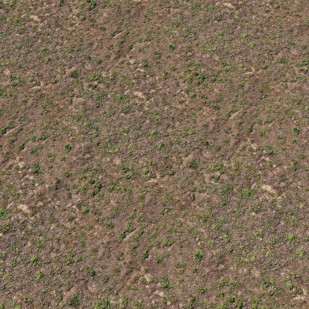 3D Model Spring Soil - TurboSquid 1909369