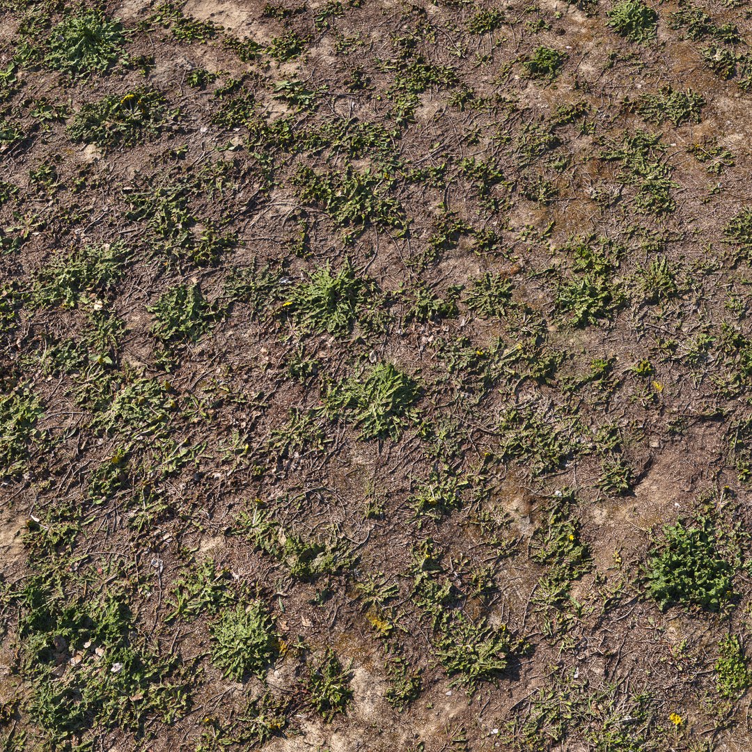 3D Model Spring Soil - TurboSquid 1909369