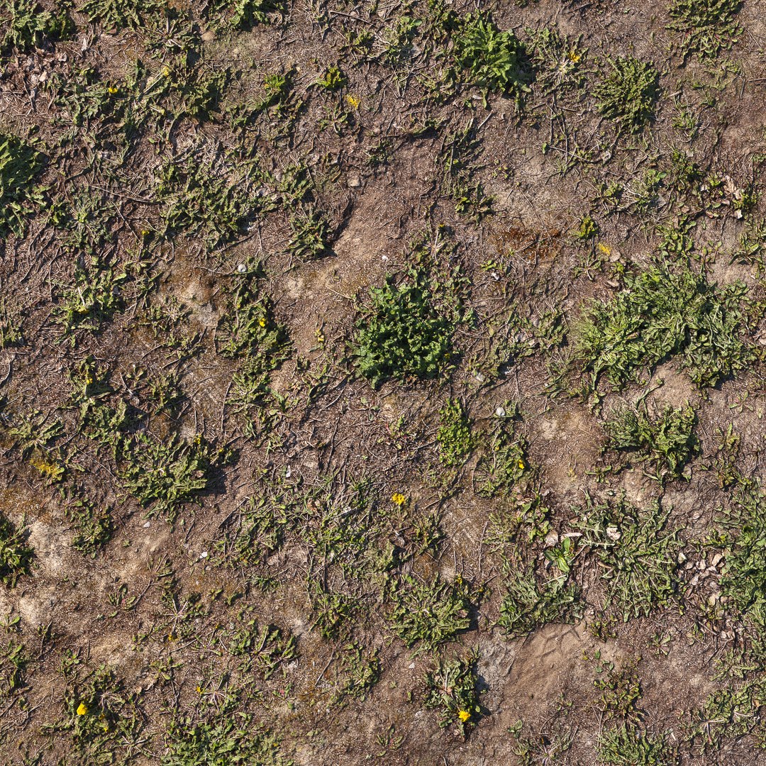 3D Model Spring Soil - TurboSquid 1909369