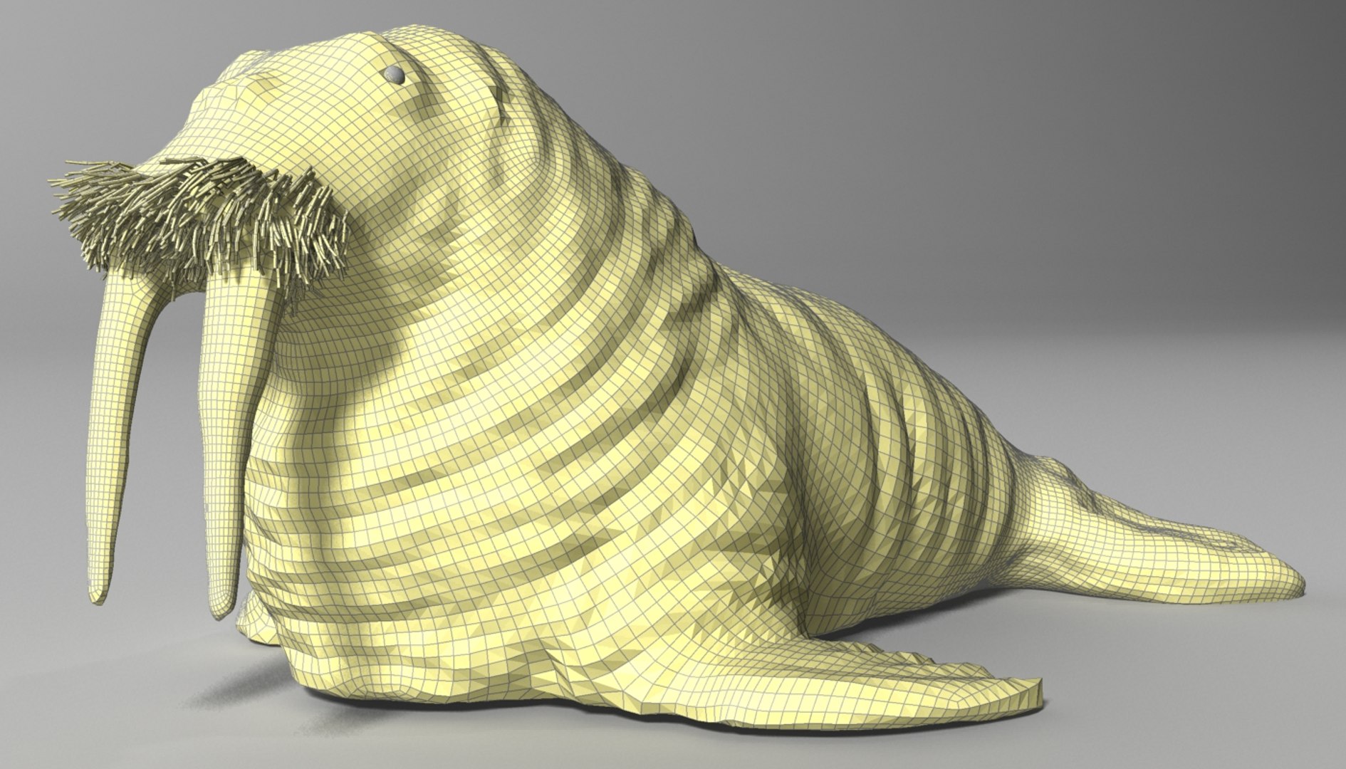 3D model walrus rigged - TurboSquid 1184162