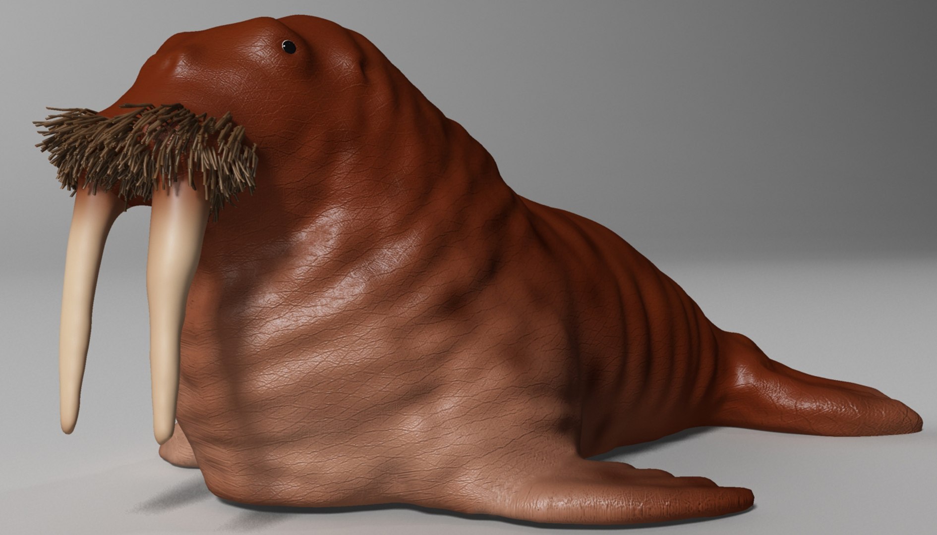 3D model walrus rigged - TurboSquid 1184162